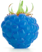 Taste the nostalgia with our Pantone's Color of The Year "Classic Blue ...